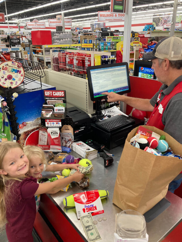 Citrus cups for cats and pups | News, Sports, Jobs - Adirondack Daily ...